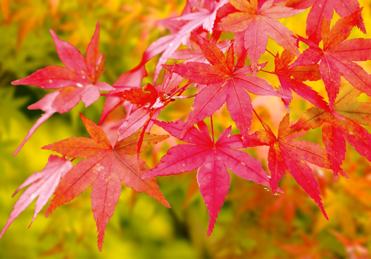 Workbook レッスン348 | ACIMタッチアンドゴー